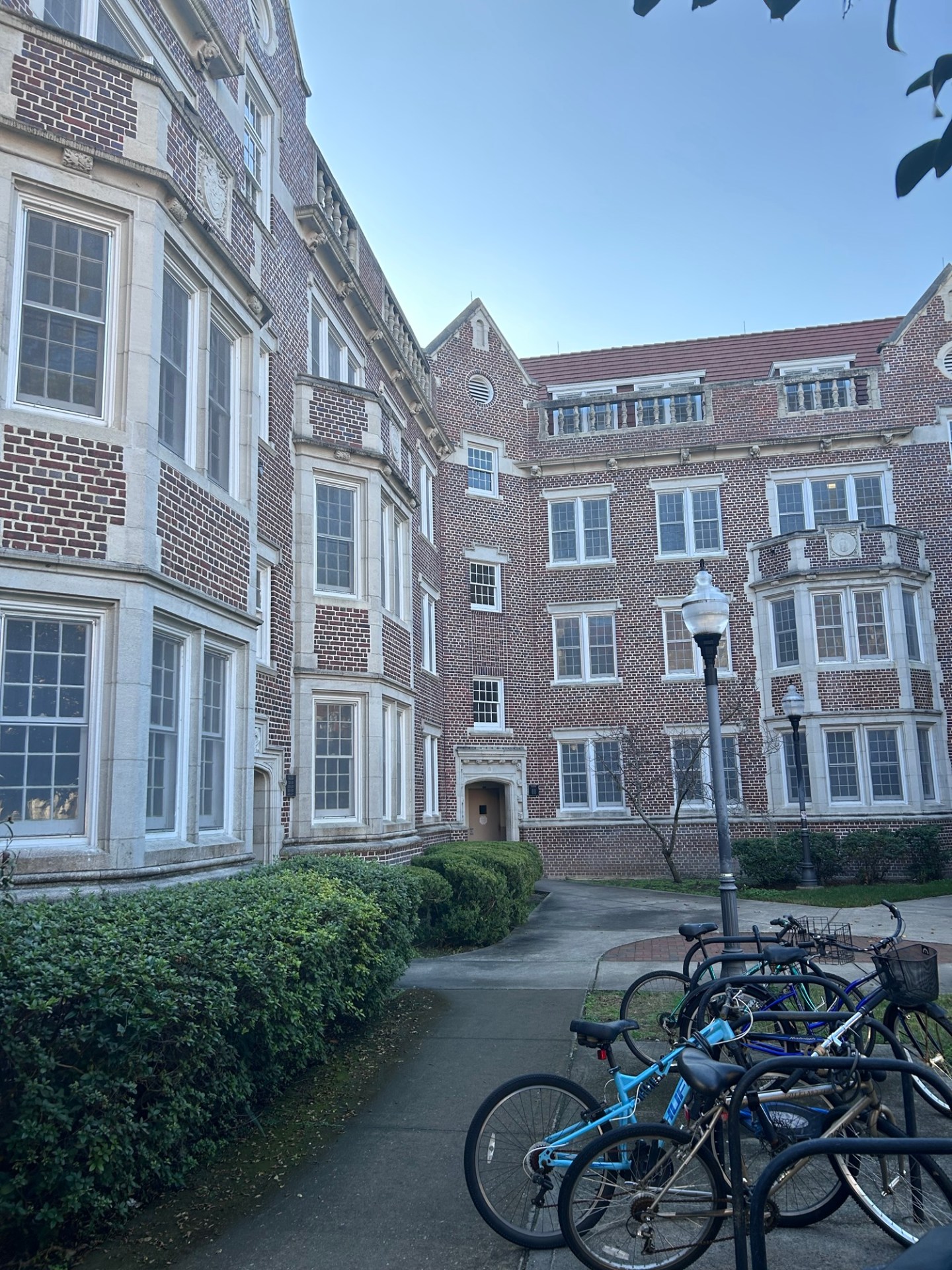 Rooftop Philosophers – My little corner of the world